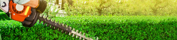 Find Stihl replacement parts at GRANIT